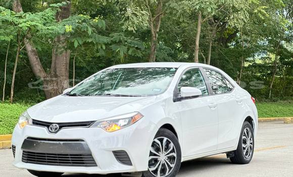 Buy and sell cars, motorbikes and trucks in Honduras - Honduras.CarroCarros