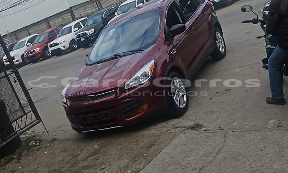 Buy used ford escape red car in dulce nombre in copan - honduras ...