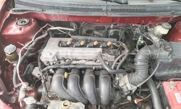 Buy used toyota corolla red car in corquin in copan - honduras.carrocarros